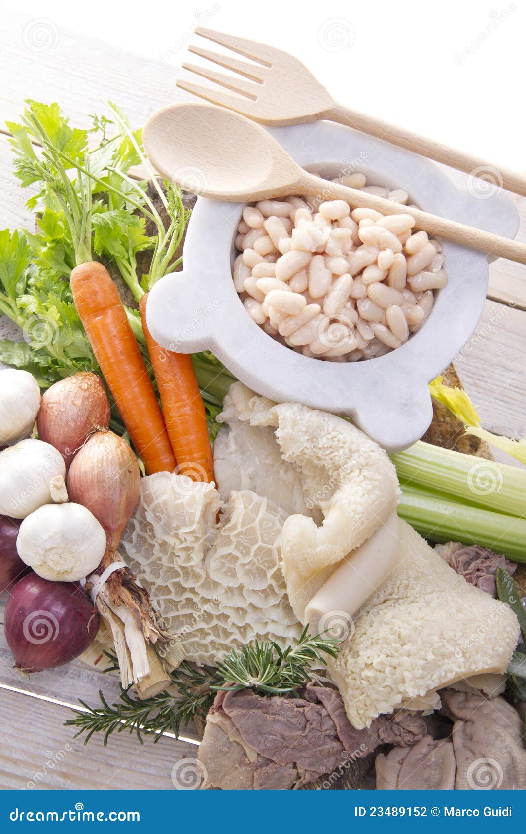 Raw tripe stock photo. Image of vegetable, gastronomy - 23489152