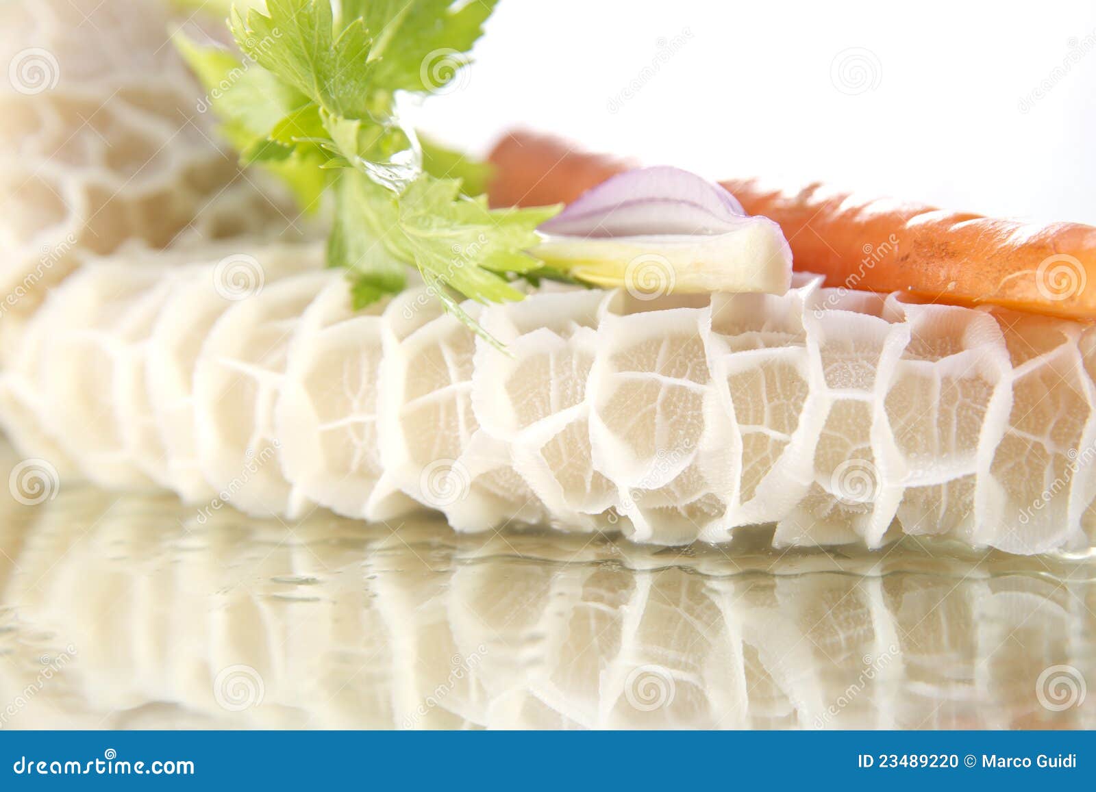 Raw tripe stock photo. Image of food, gastronomy, recipe - 23489220