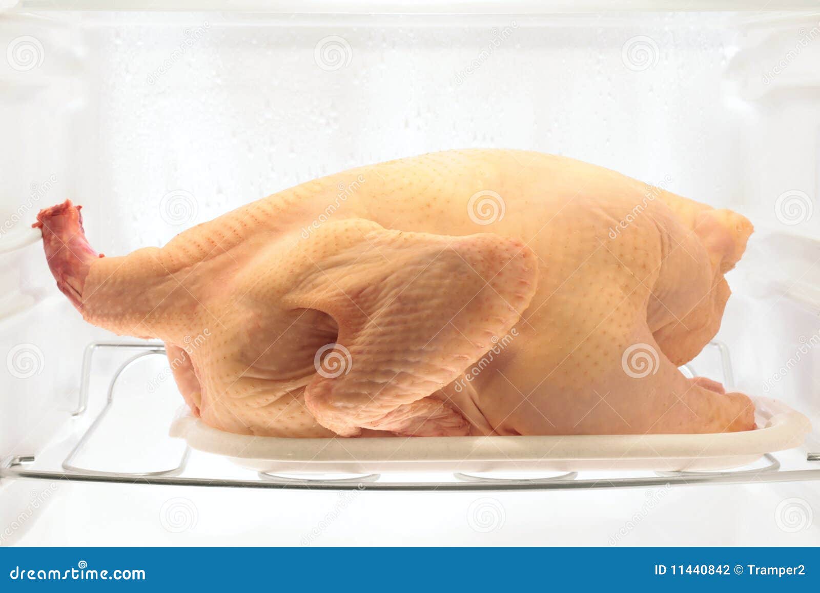 Raw turkey stock photo. Image of tenderized, fridge, dead - 11440842