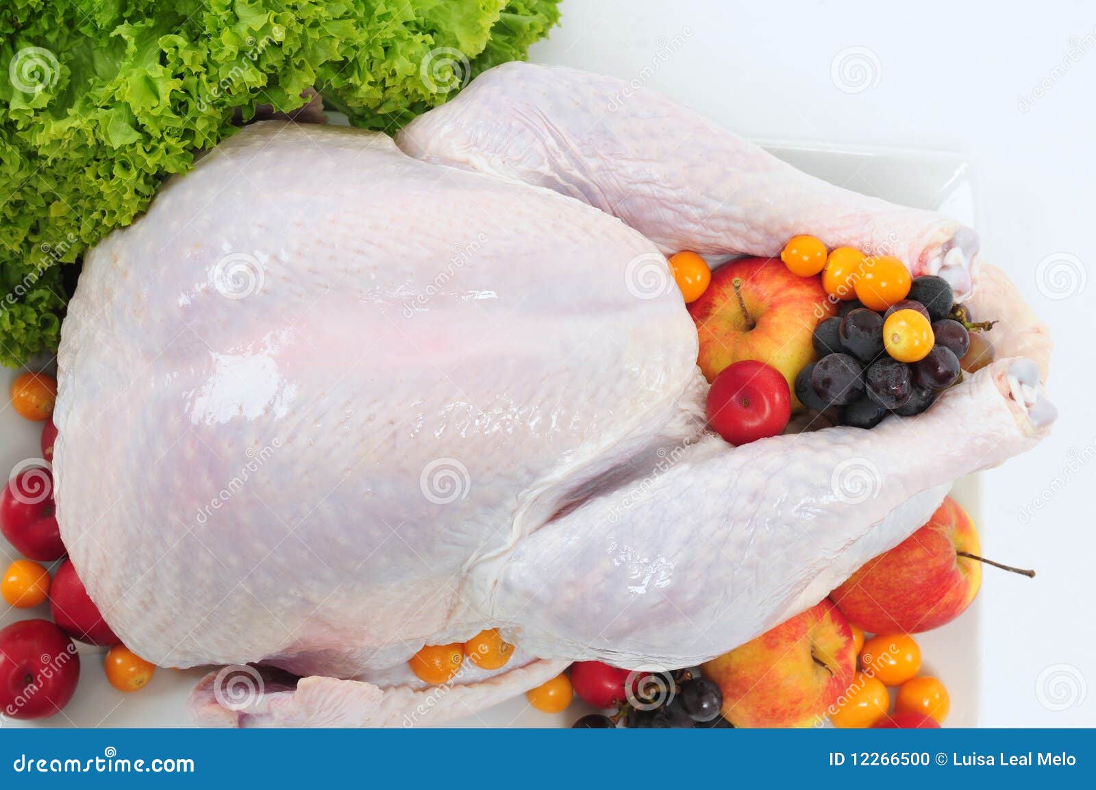 Raw turkey. stock photo. Image of prepare, meal, breast - 12266500