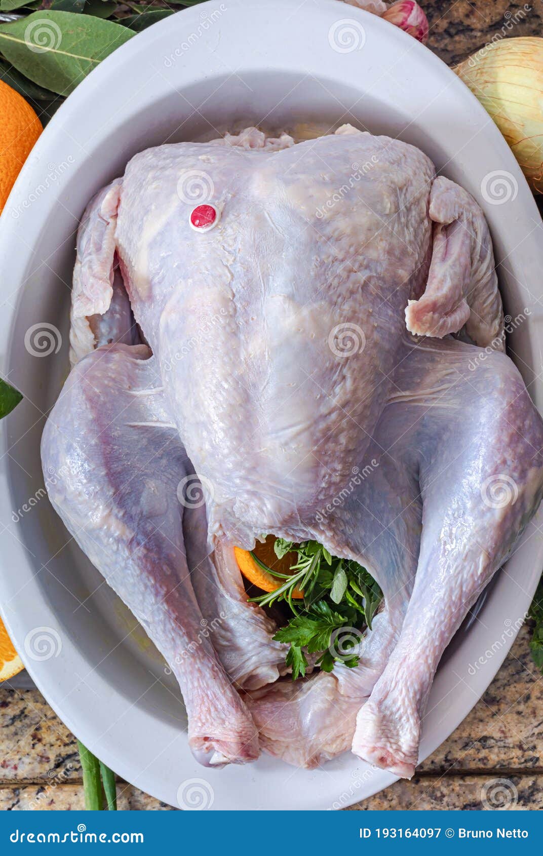 A Raw Turkey Being Prepared for Thanksgiving or a Christmas Dinner ...