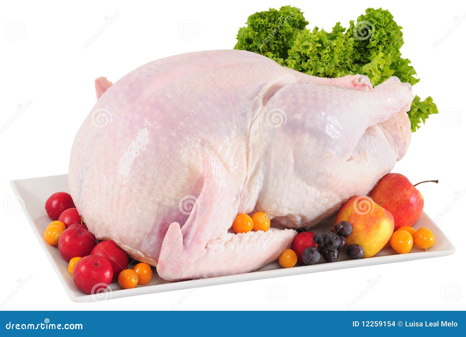 Raw turkey. Isolated stock photo. Image of isolated, meat - 12259154