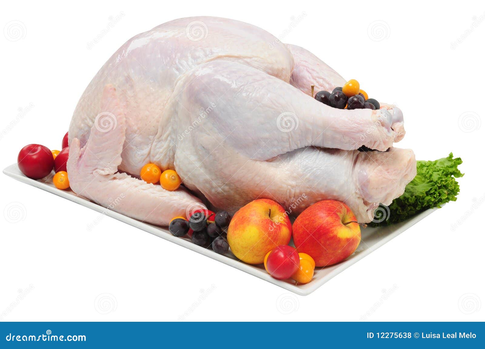 Raw turkey. Isolated stock photo. Image of peach, preparation - 12275638