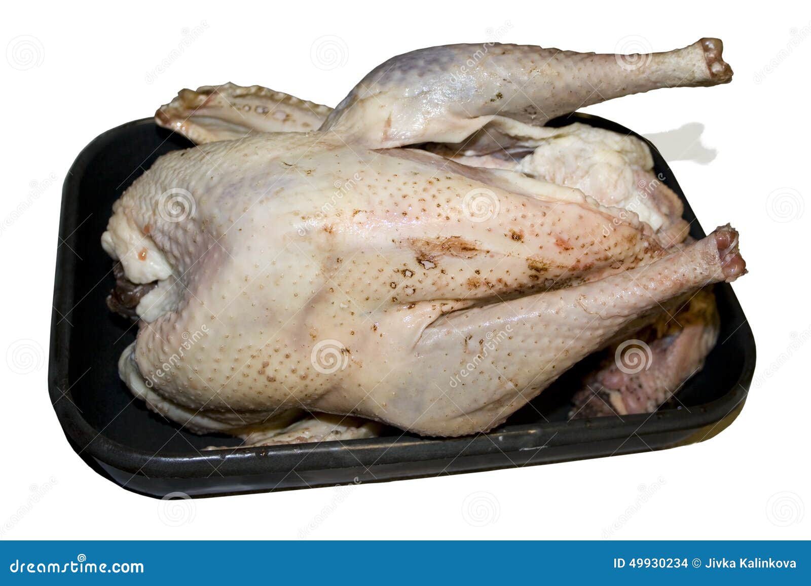 Raw turkey stock photo. Image of preparing, celebrate - 49930234