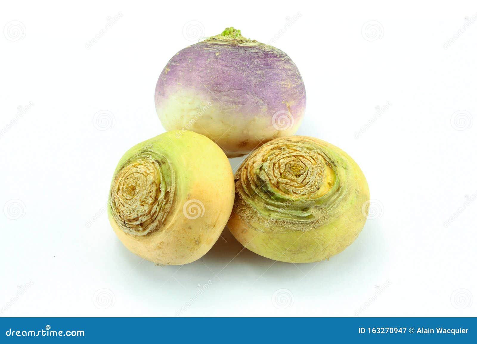 Raw turnip stock image. Image of french, cichorium, healthy - 163270947