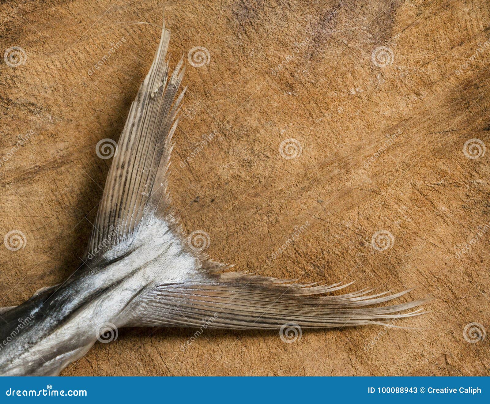 Raw uncooked fish stock image. Image of water, chopping - 100088943