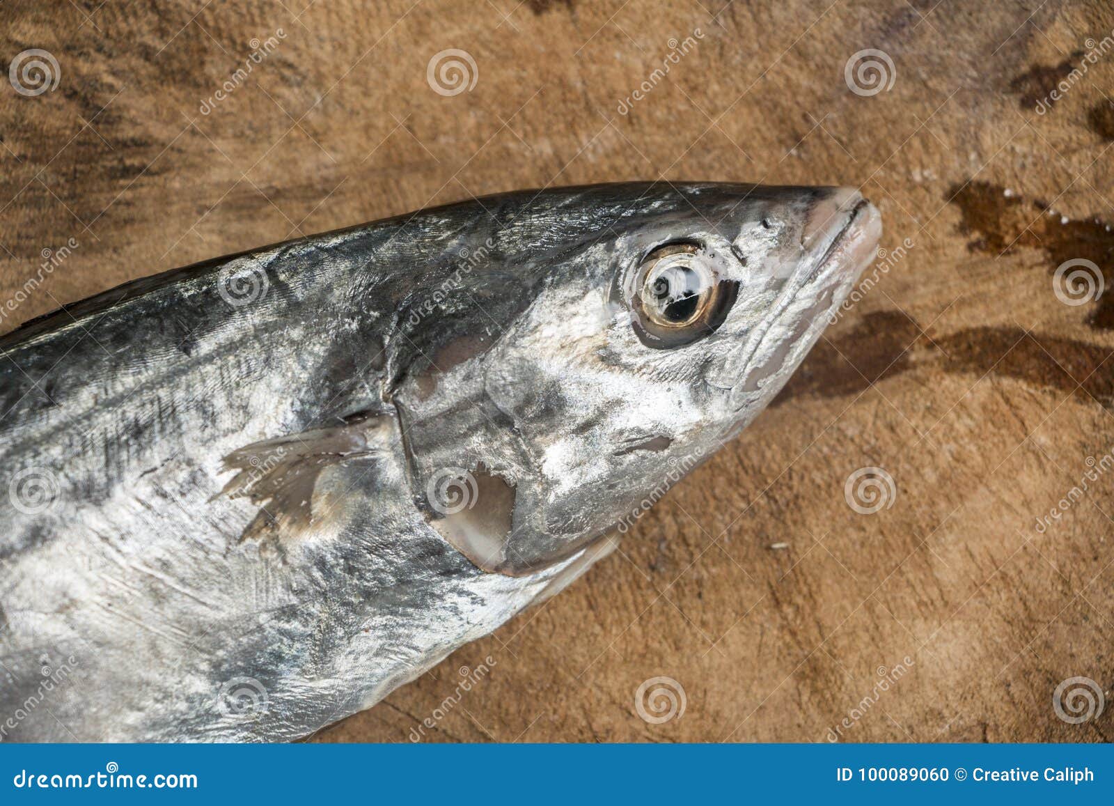 Raw uncooked fish stock photo. Image of salt, diet, head - 100089060