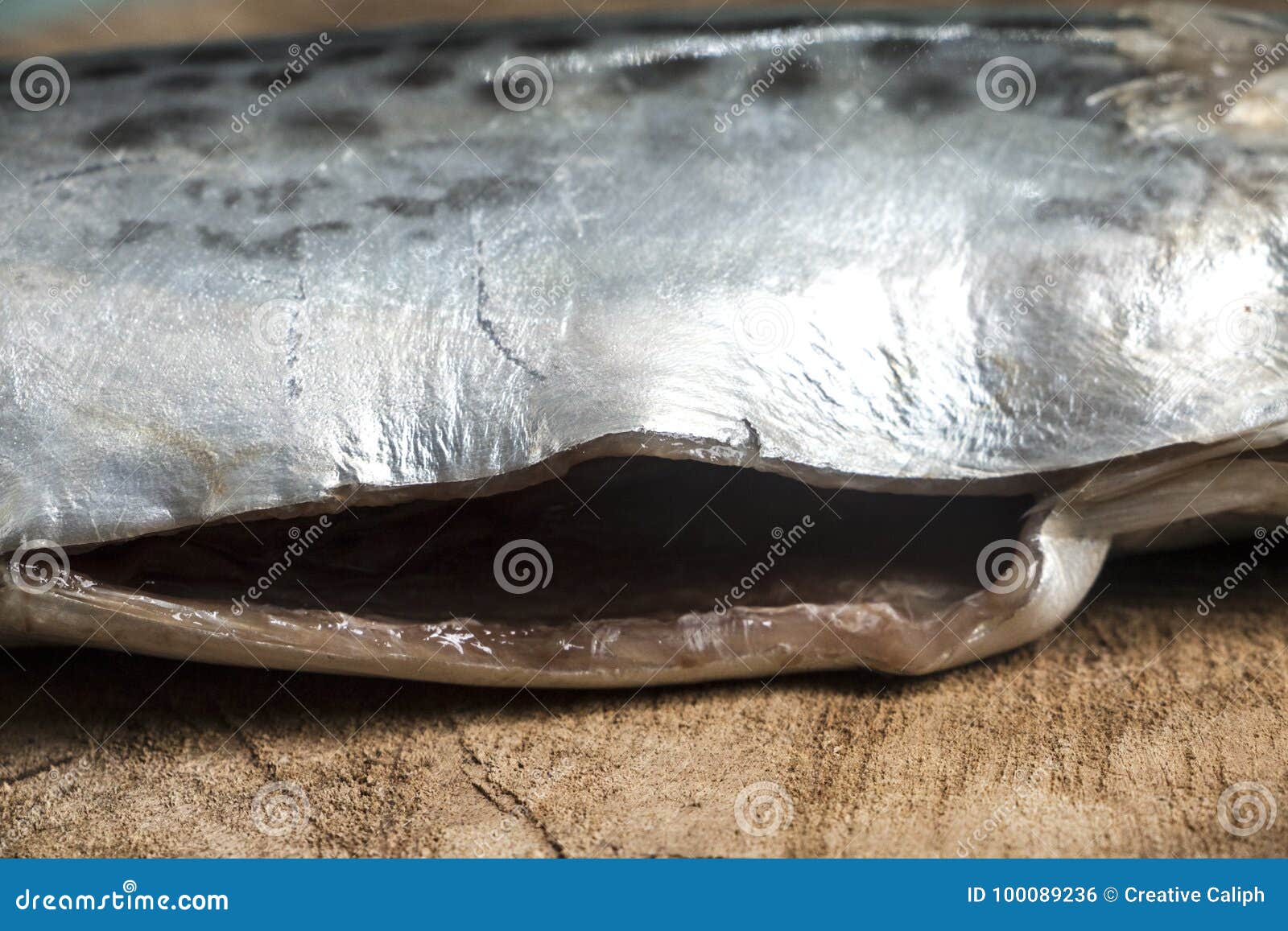 Raw uncooked fish stock photo. Image of healthy, eastern - 100089236