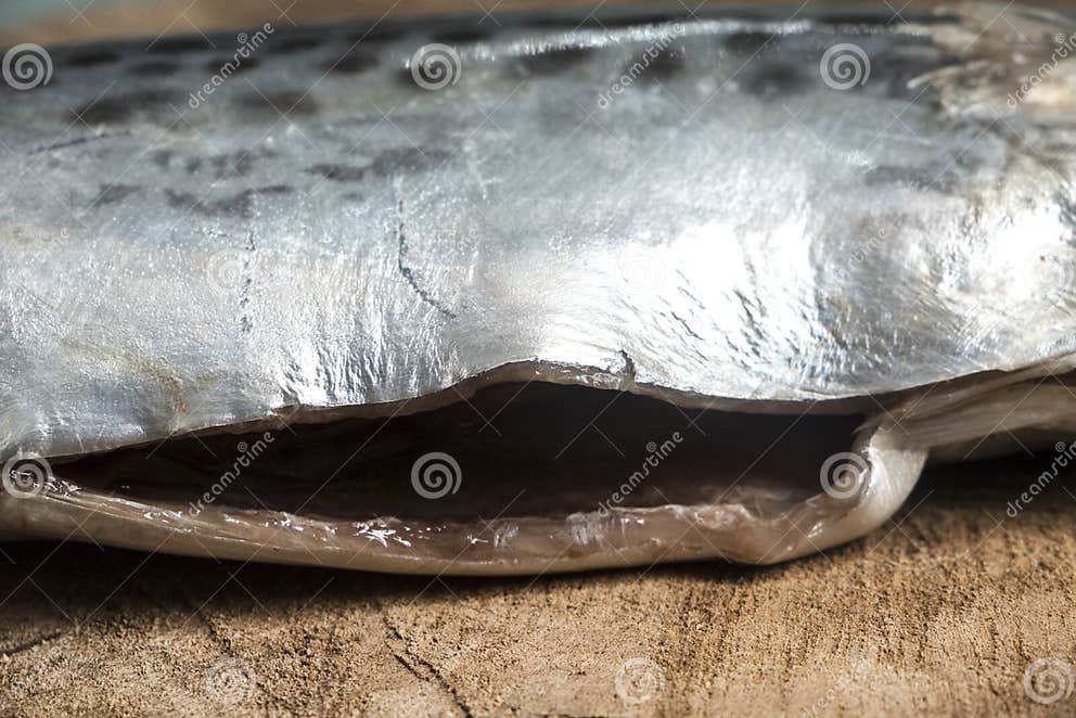 Raw uncooked fish stock photo. Image of healthy, eastern - 100089236