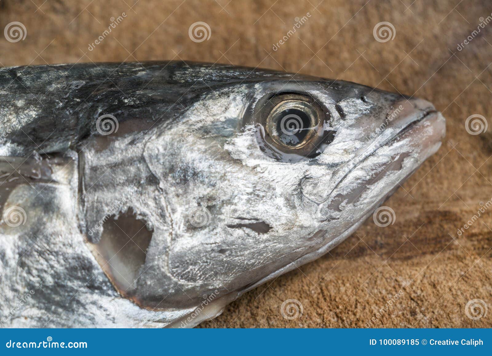 Raw uncooked fish stock image. Image of body, healthy - 100089185