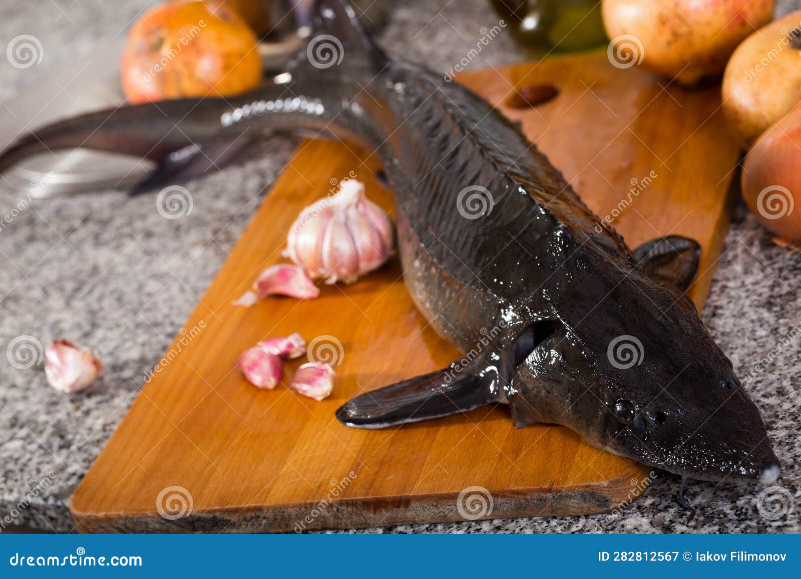 Raw Uncooked Fish Sturgeon at Plate before Preparing Stock Image ...