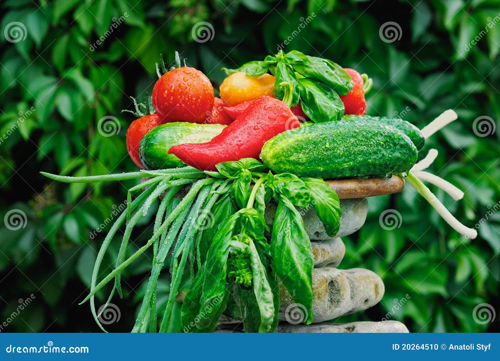 Raw Vegetables stock photo. Image of natural, meal, ripe - 20264510