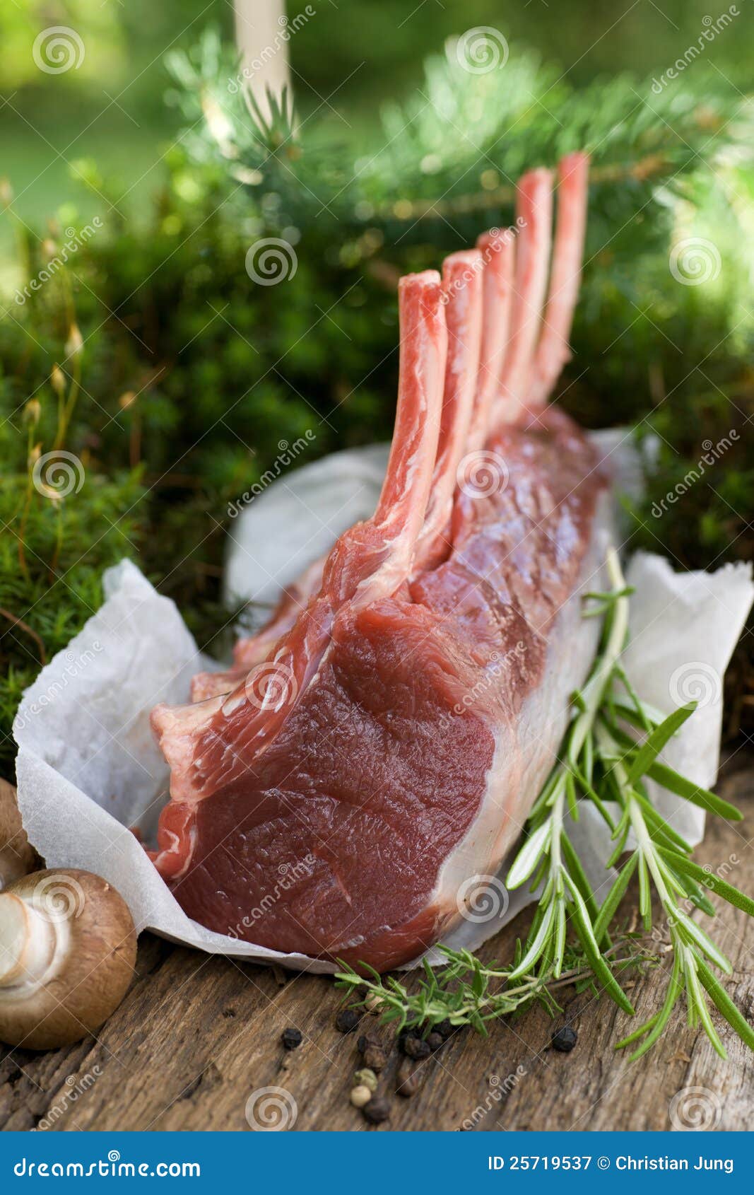 Raw venison rack stock image. Image of herbs, fresh, hunt - 25719537