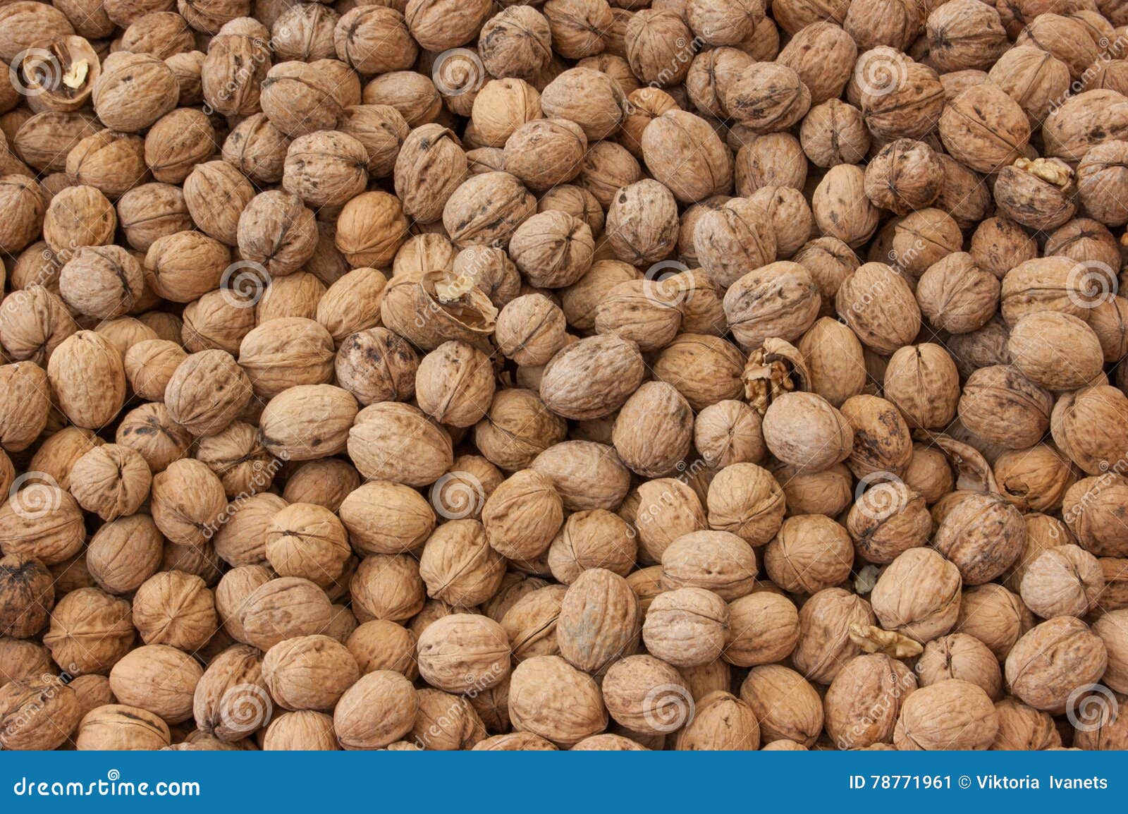 Walnut Background Texture Stock Image | CartoonDealer.com #62141497