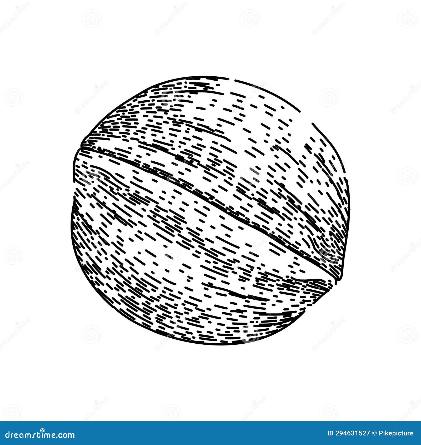 Raw Walnut Sketch Hand Drawn Vector Stock Illustration - Illustration ...