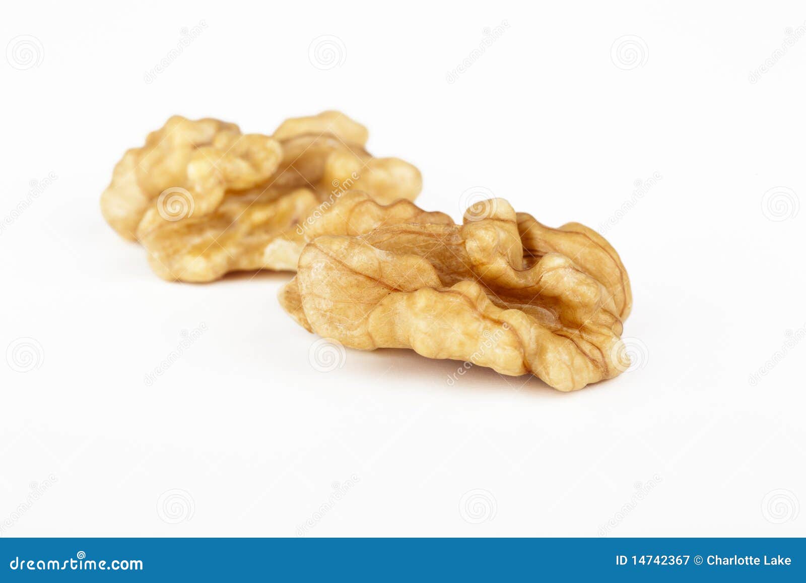 Raw Walnuts stock image. Image of dried, healthy, ingredient - 14742367