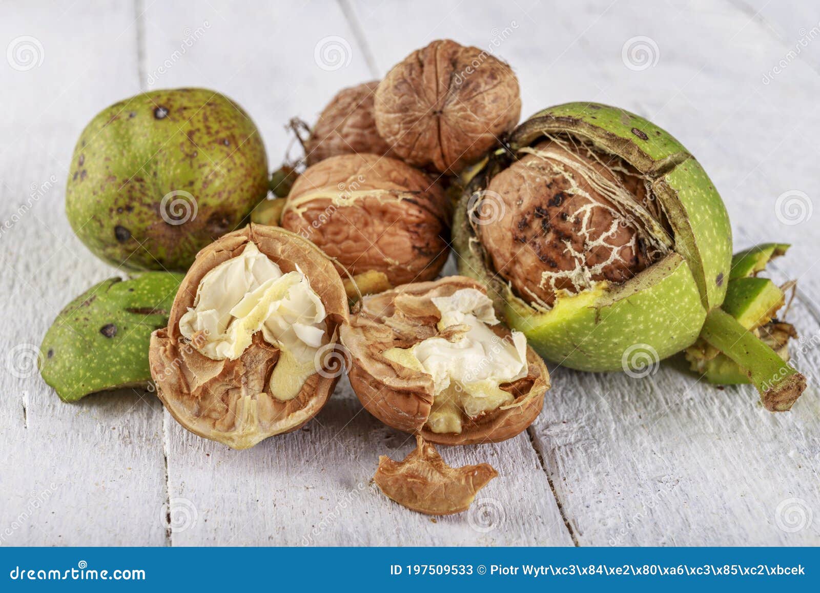 Raw Walnuts in Shell on a Wooden Table. the Fruits of a Large Deciduous ...