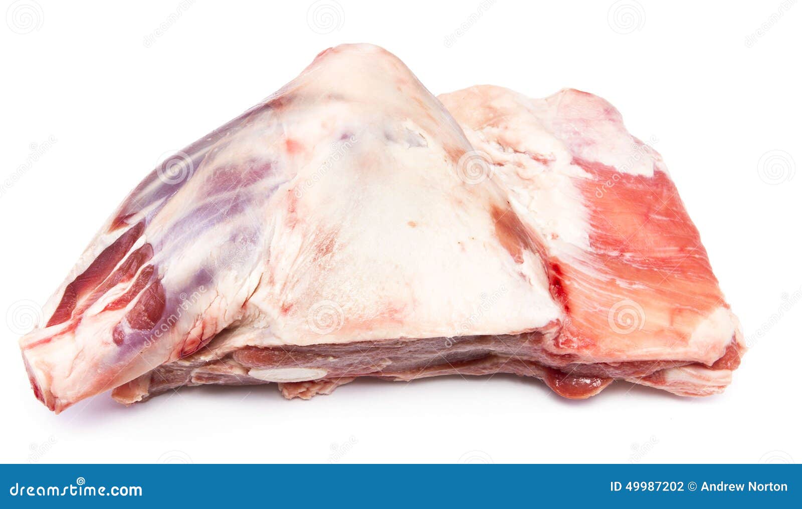 Raw Welsh Lamb shoulder stock photo. Image of butcher - 49987202
