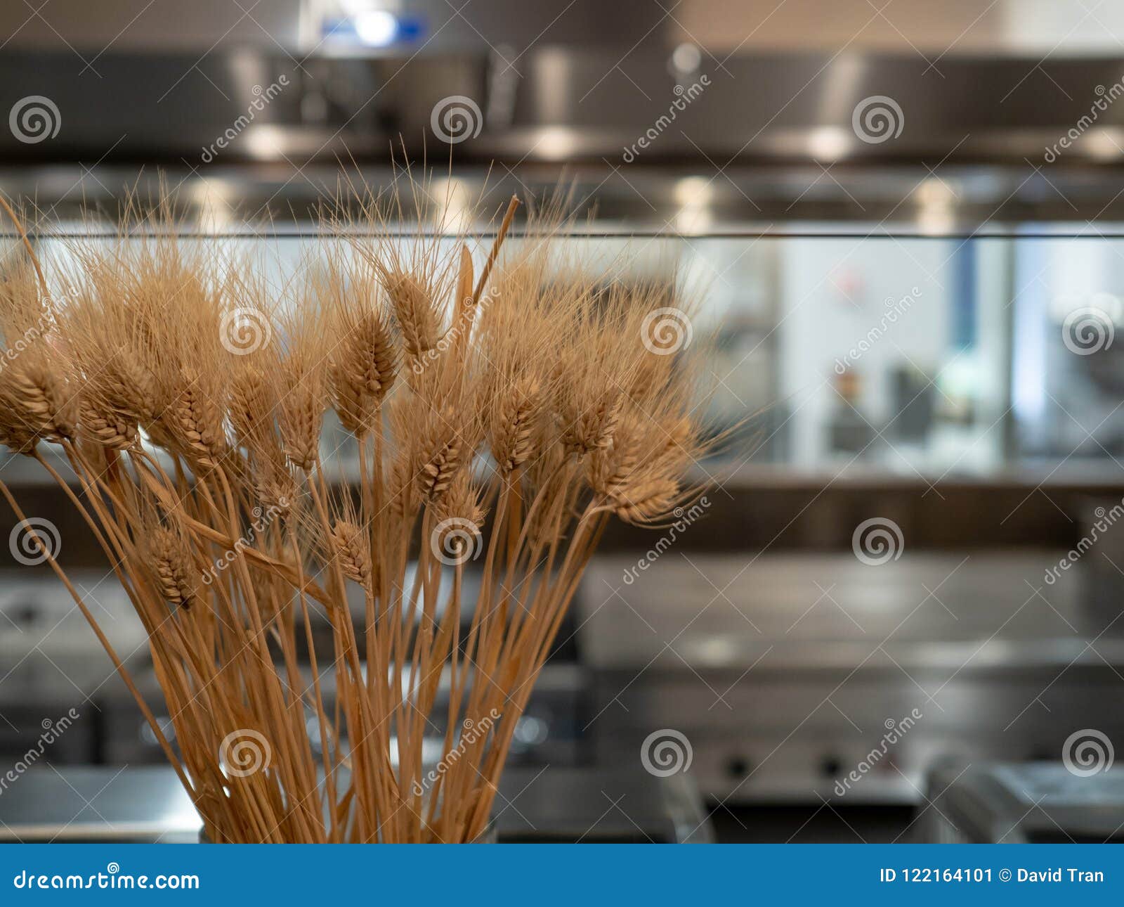 Raw Wheat Crop on Decorative Display in Front of an Industrial Kitchen ...