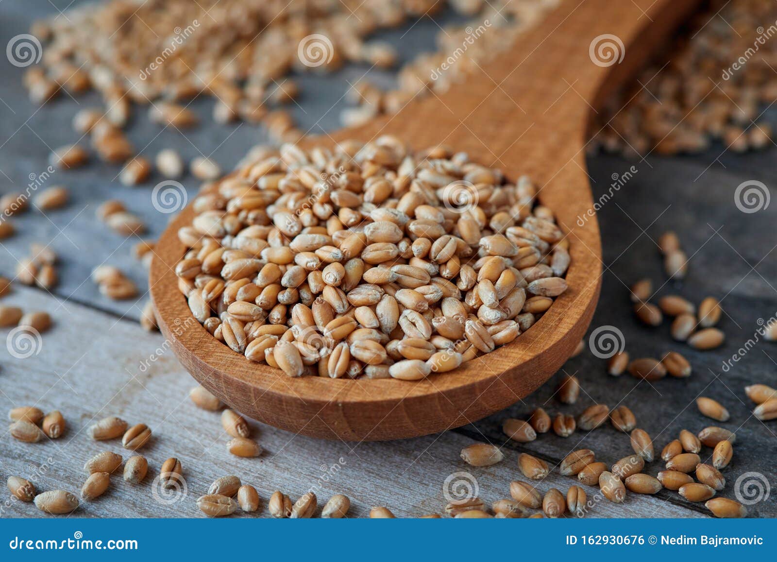 Raw wheat grain stock photo. Image of bakery, crop, processed - 162930676