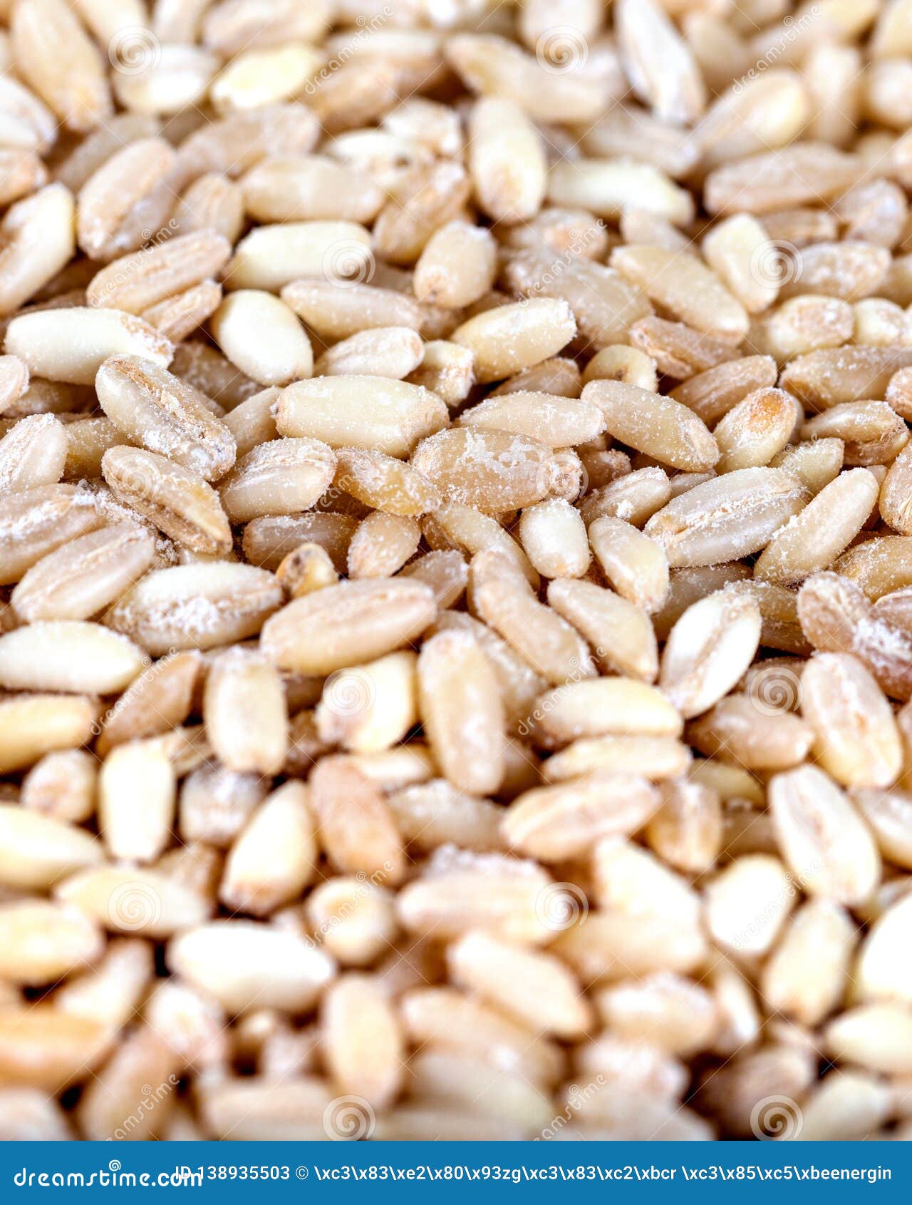 Wheat grains, background stock image. Image of colorful - 138935503