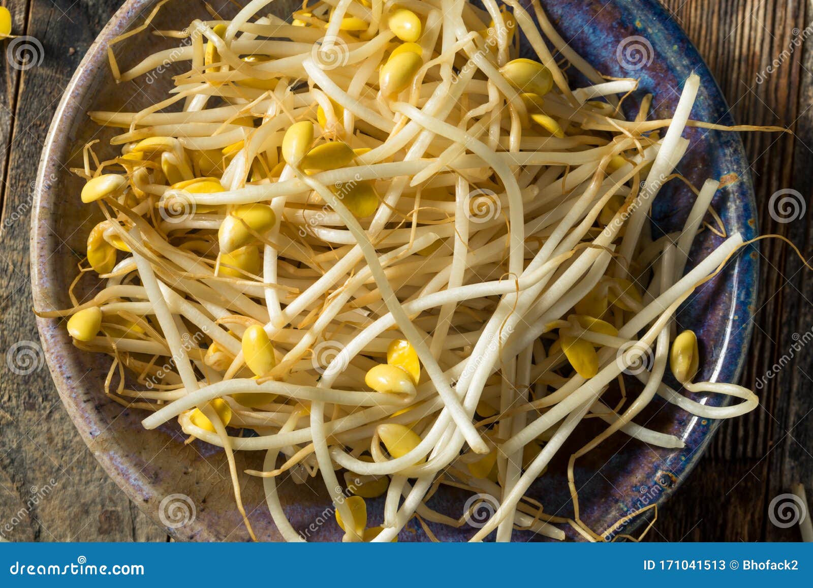 Raw White Organic Bean Sprouts Stock Image - Image of beans, sprouts ...