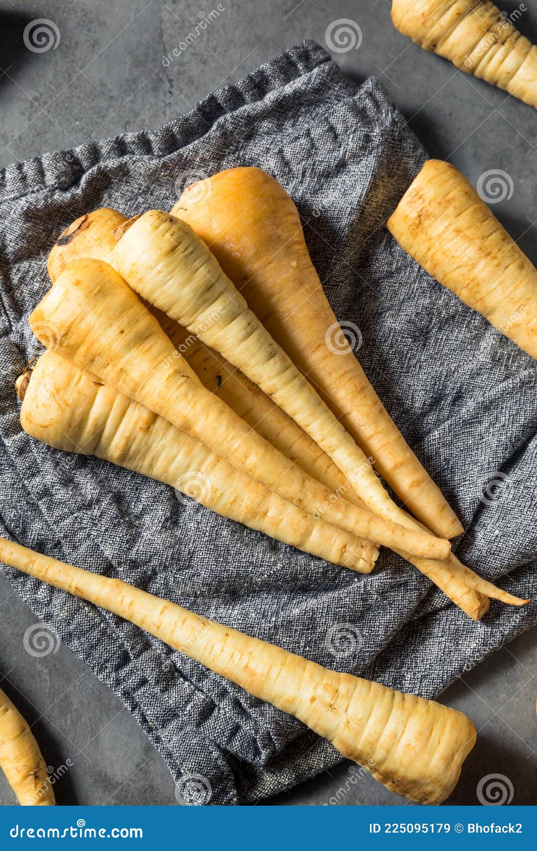 Raw White Organic Parsnips stock image. Image of nature - 225095179