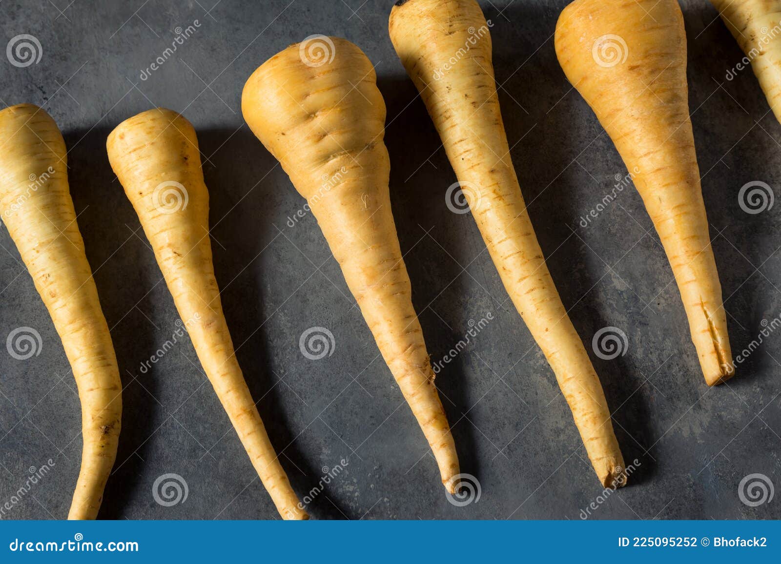 Raw White Organic Parsnips stock photo. Image of vegetables - 225095252
