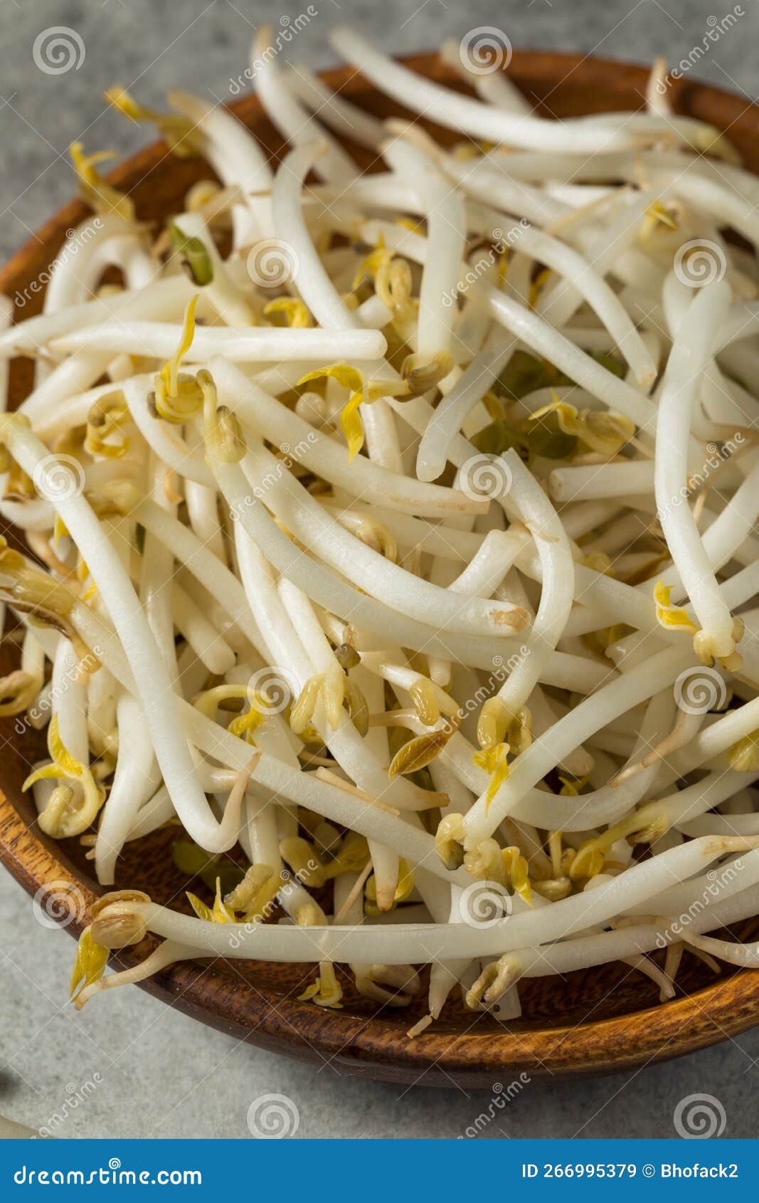 Raw White Organic Soy Bean Sprouts Stock Image - Image of chinese, soya ...