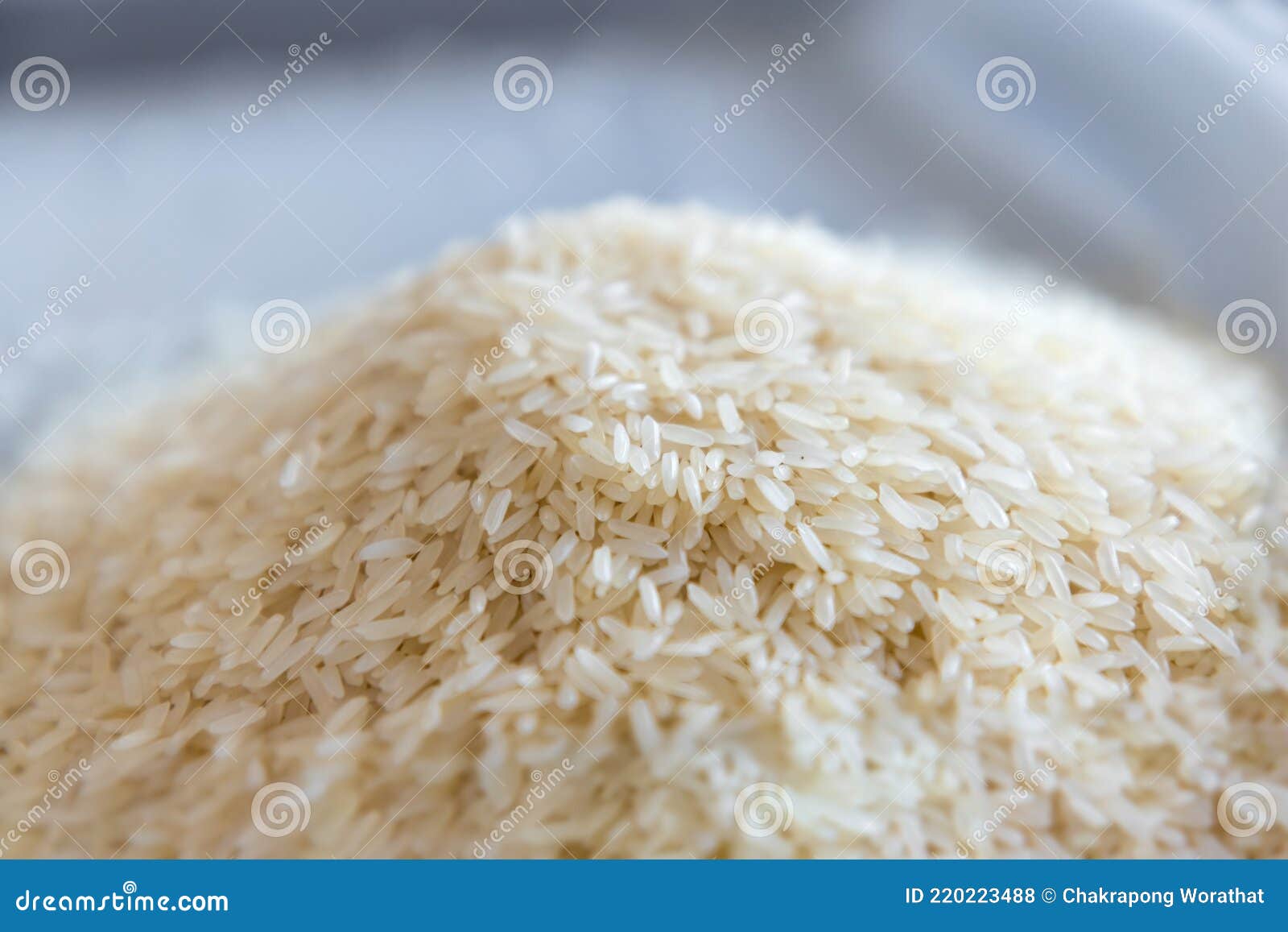 Raw White Polished Milled Edible Rice or Jasmine Rice Stock Photo ...