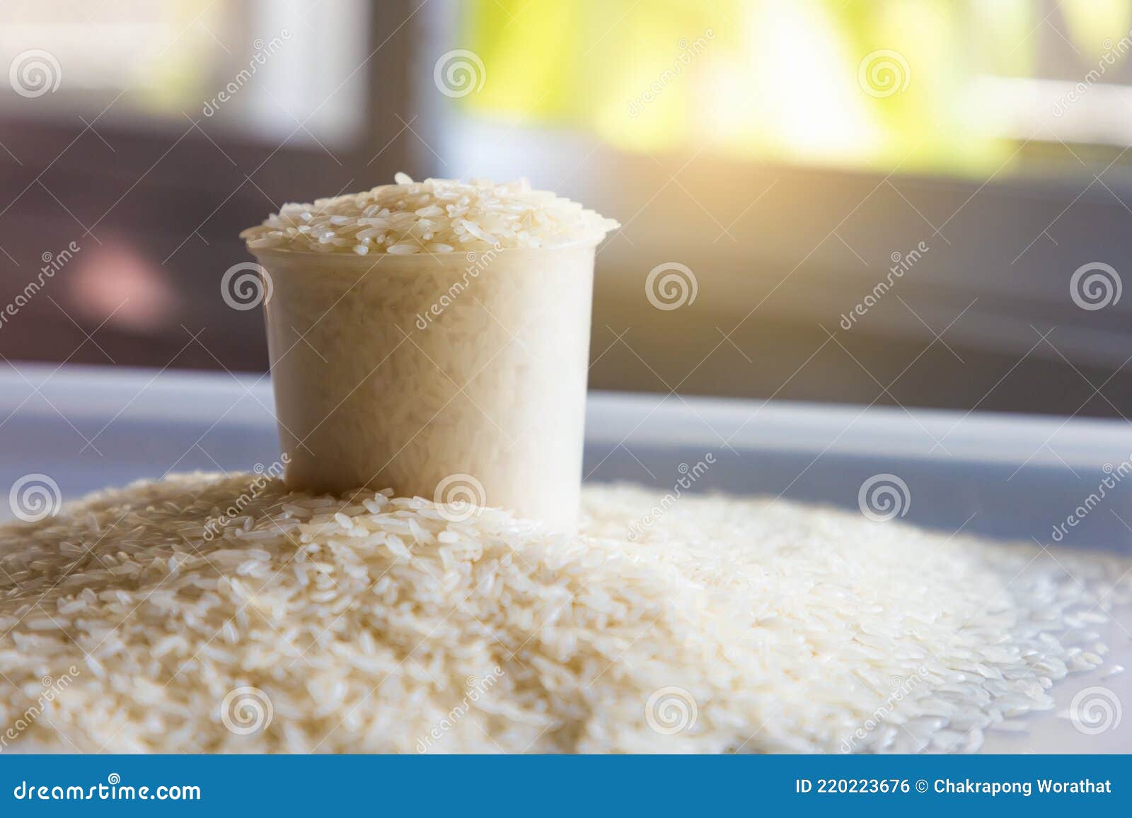 Raw White Polished Milled Edible Rice or Jasmine Rice in a Cup Stock ...