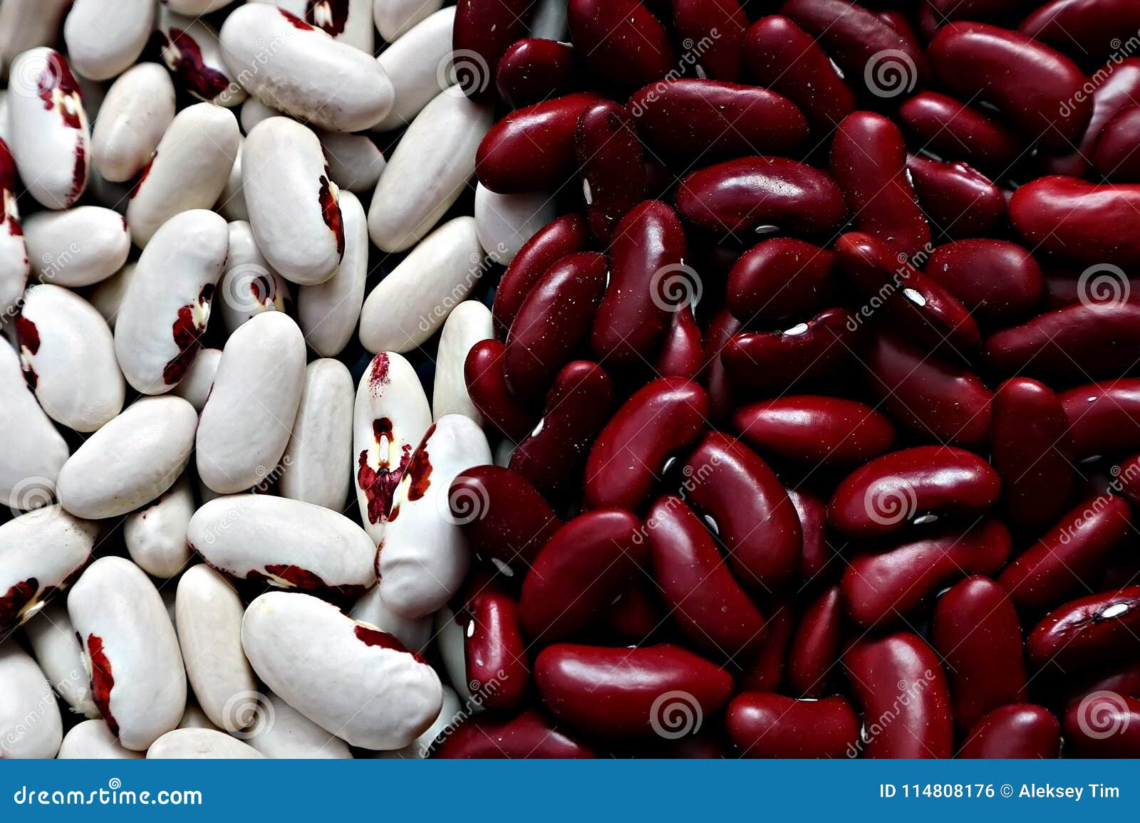Raw white and red beans. stock photo. Image of pile - 114808176