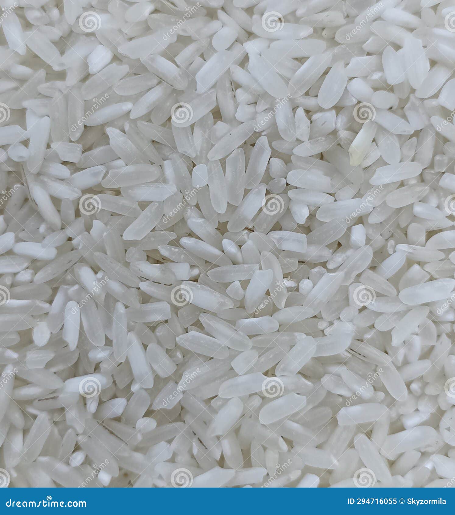 Raw White Rice Grains Fresh Uncooked Stock Image - Image of grains ...