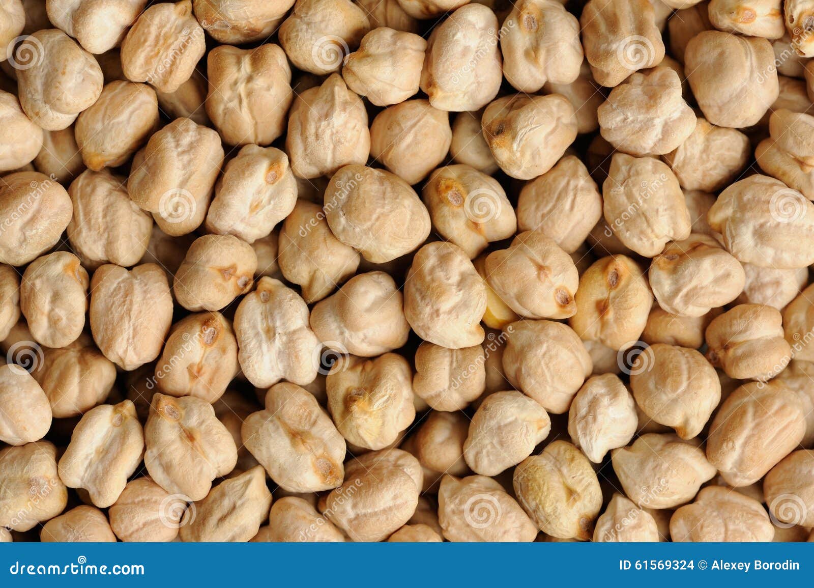Raw Whole Chickpeas Pattern Stock Photo - Image of chickpeas, brown ...