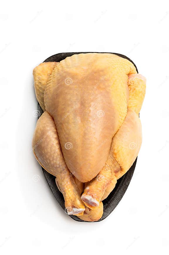 Raw Whole Corn Fed Poussin Isolated on White Stock Photo - Image of ...