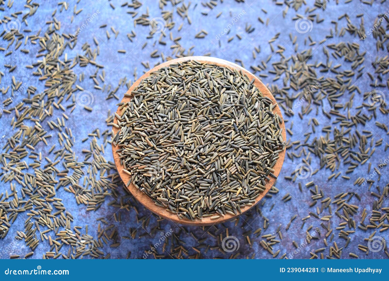 Dried Bitter cumin stock image. Image of cumin, cuminum - 239044281