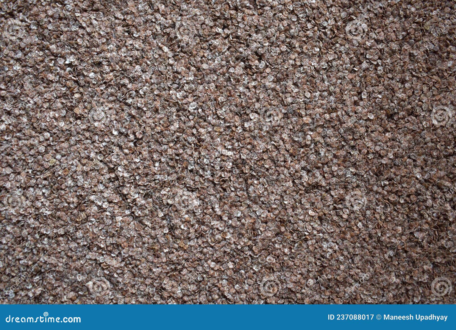 Dried finger millet flakes stock image. Image of grain - 237088017