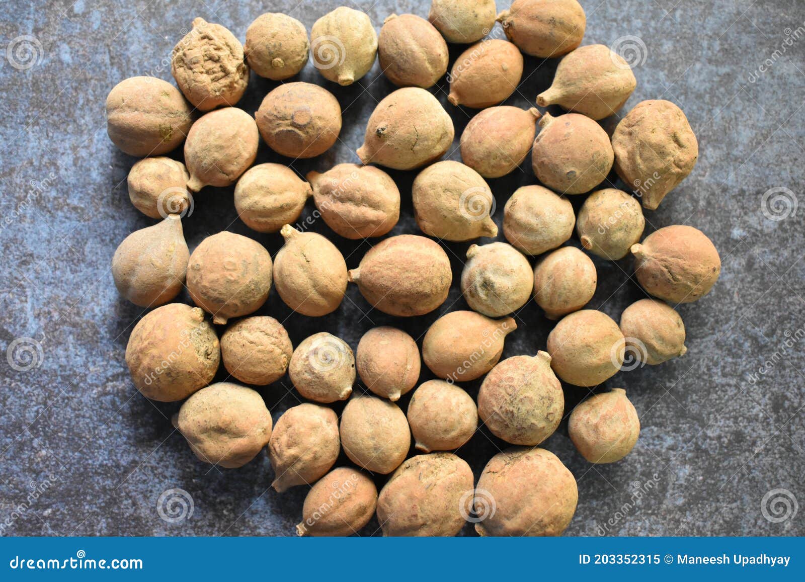 Behada Stock Photos - Free & Royalty-Free Stock Photos from Dreamstime