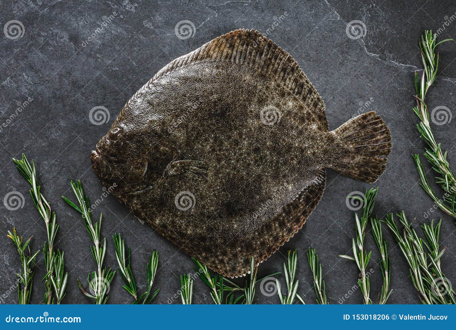 Raw Whole Flounder Fish with Rosemary on Dark Stone Background ...