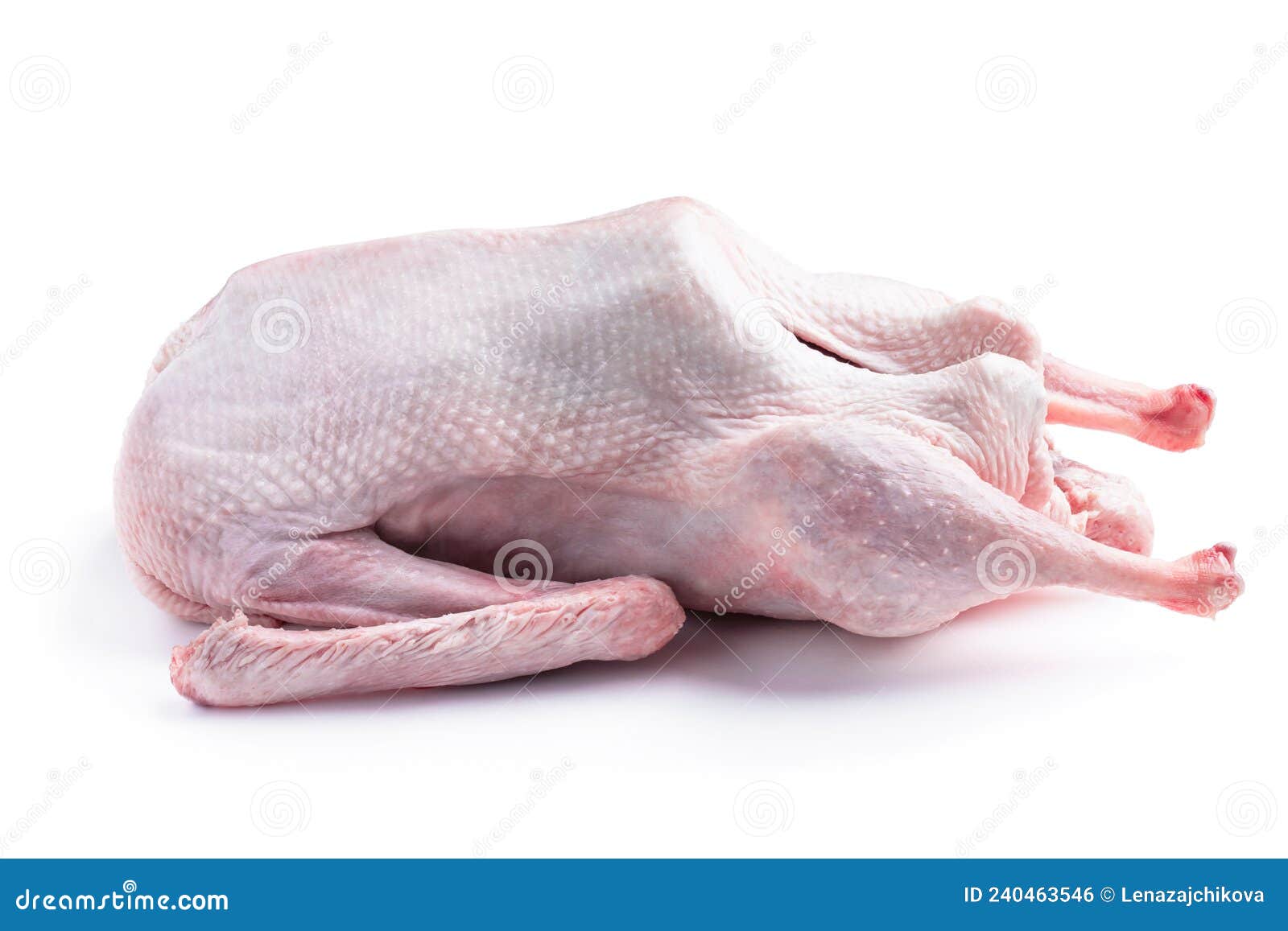 Raw Whole Goose Isolated on White Stock Photo - Image of ingredient ...