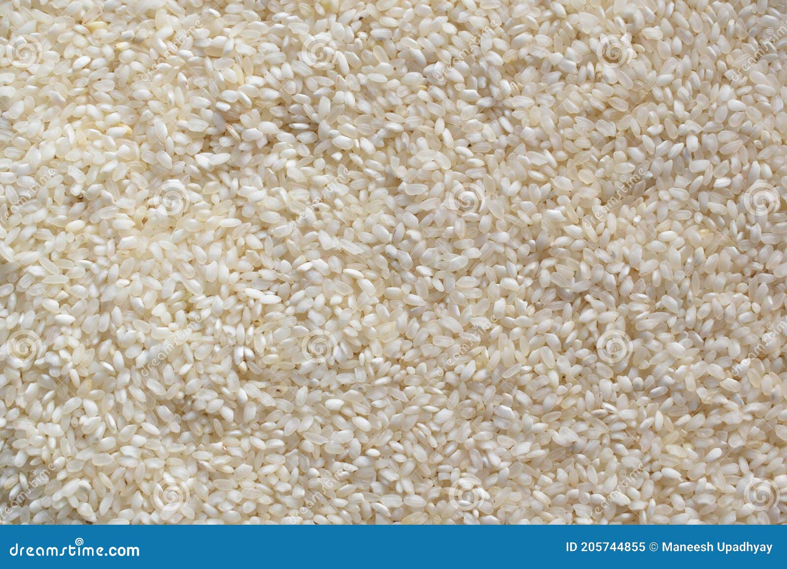 Raw whole Idli rice stock image. Image of cuisine, indian - 205744855