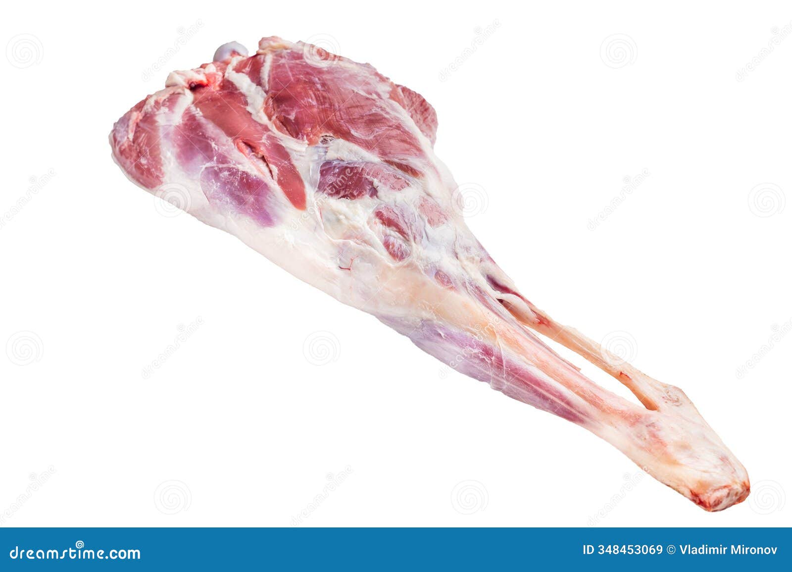Raw Whole Lamb Leg, Fresh Mutton Meat Isolated on White Background. Top ...