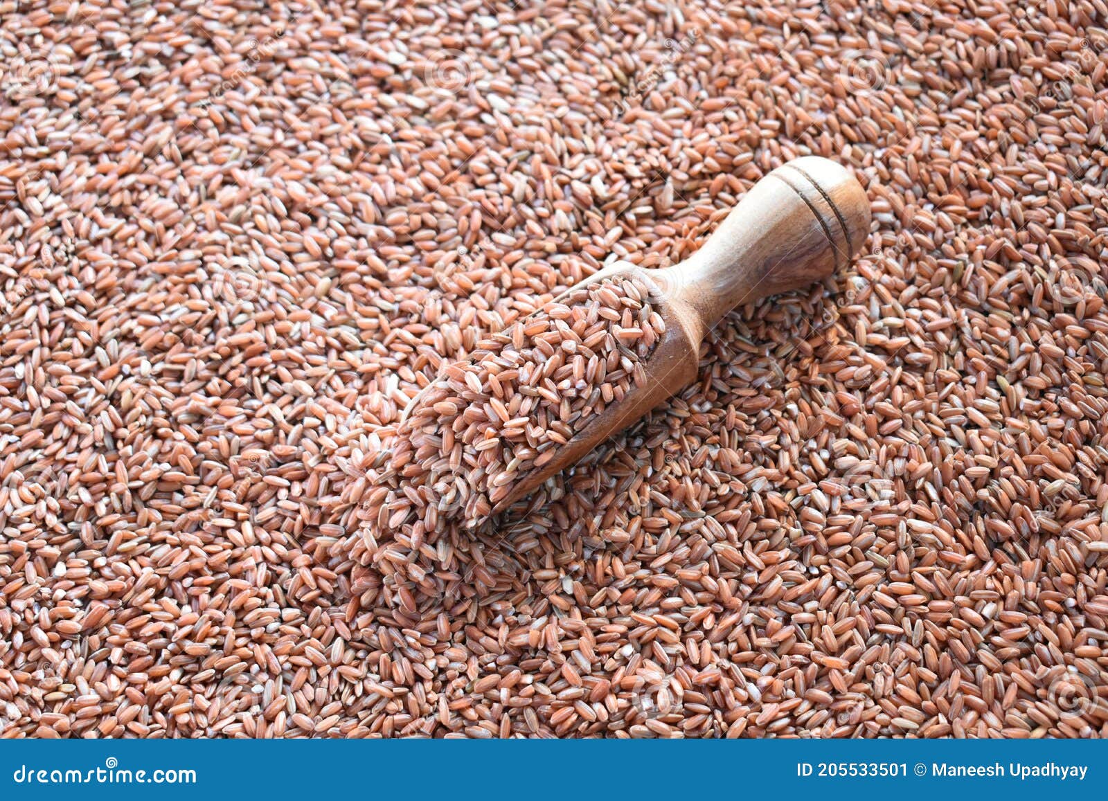 Raw whole red color rice stock image. Image of heap - 205533501