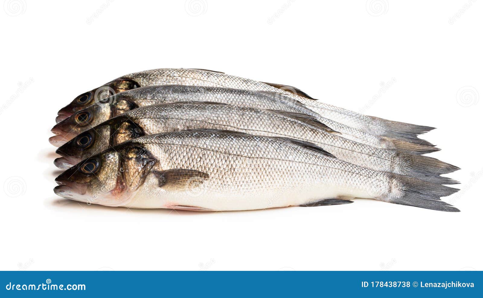 Raw Whole Seabass Fish Isolated on White Stock Photo - Image of nature ...