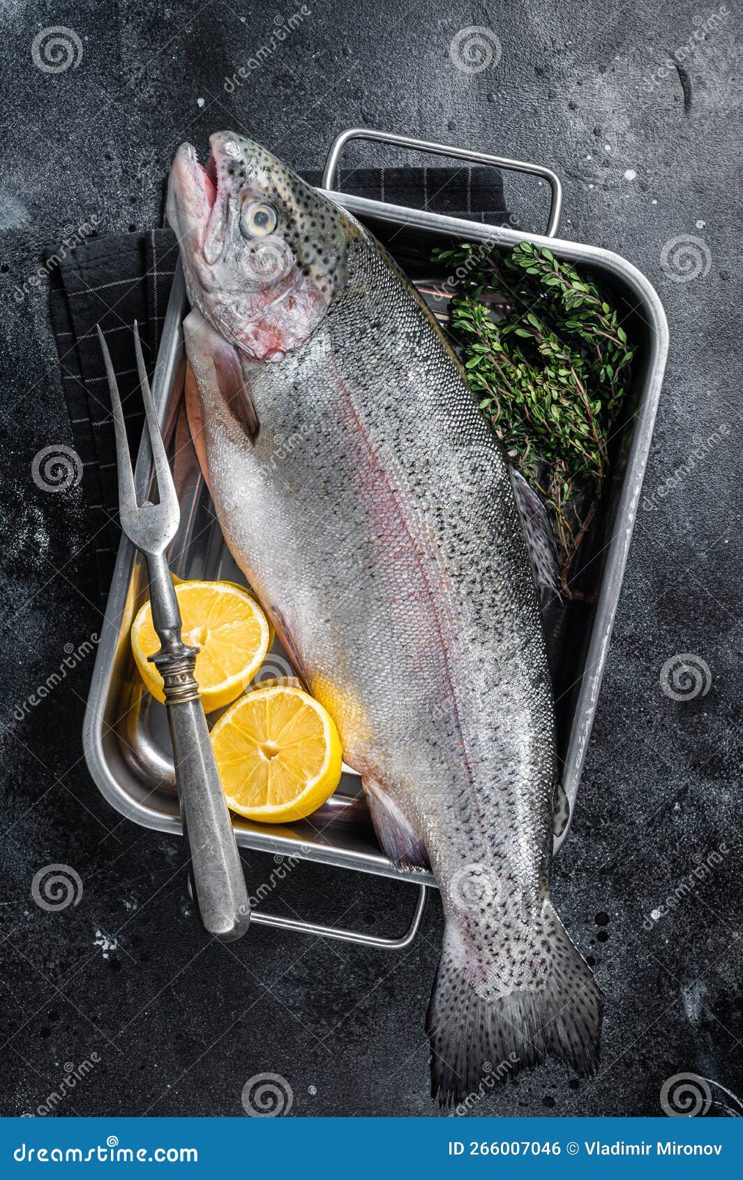 Raw Whole Trout Fish in a Kitchen Tray with Herbs. Black Background ...