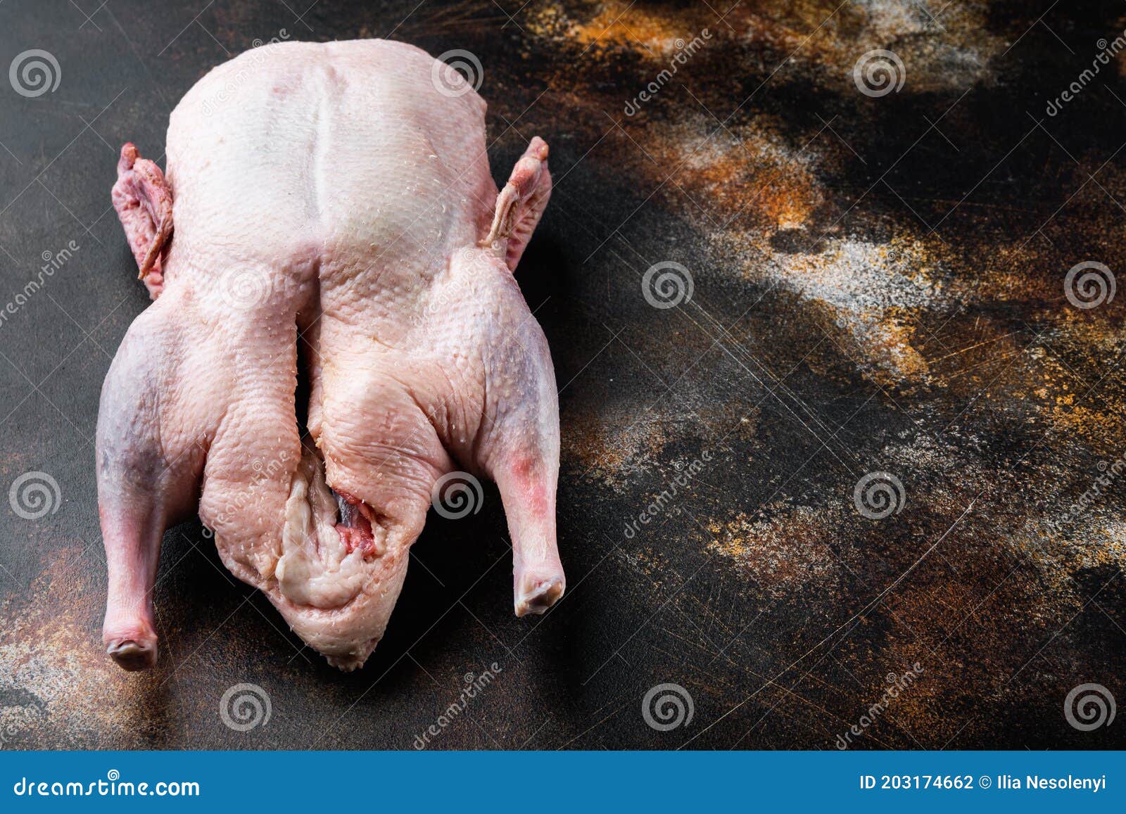 Raw Wild Mallard Ducks Meat on Old Dark Background, with Copy Space ...