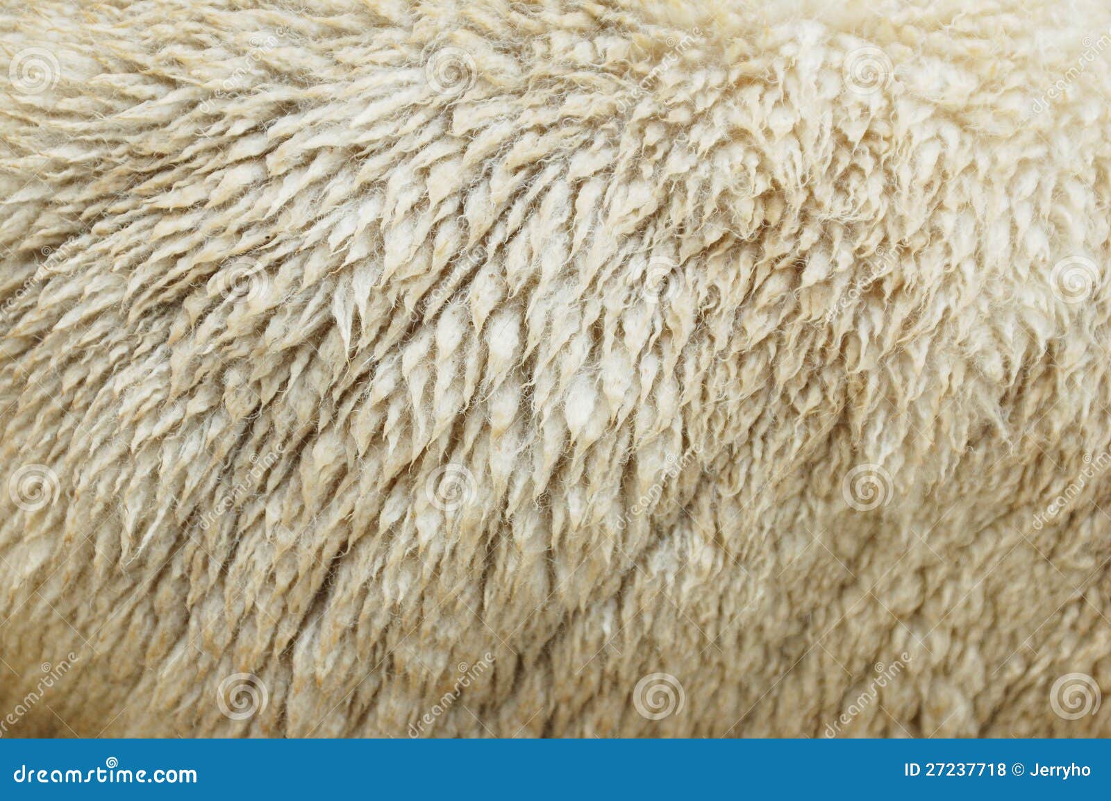 Raw wool stock photo. Image of fleece, curly, texture - 27237718