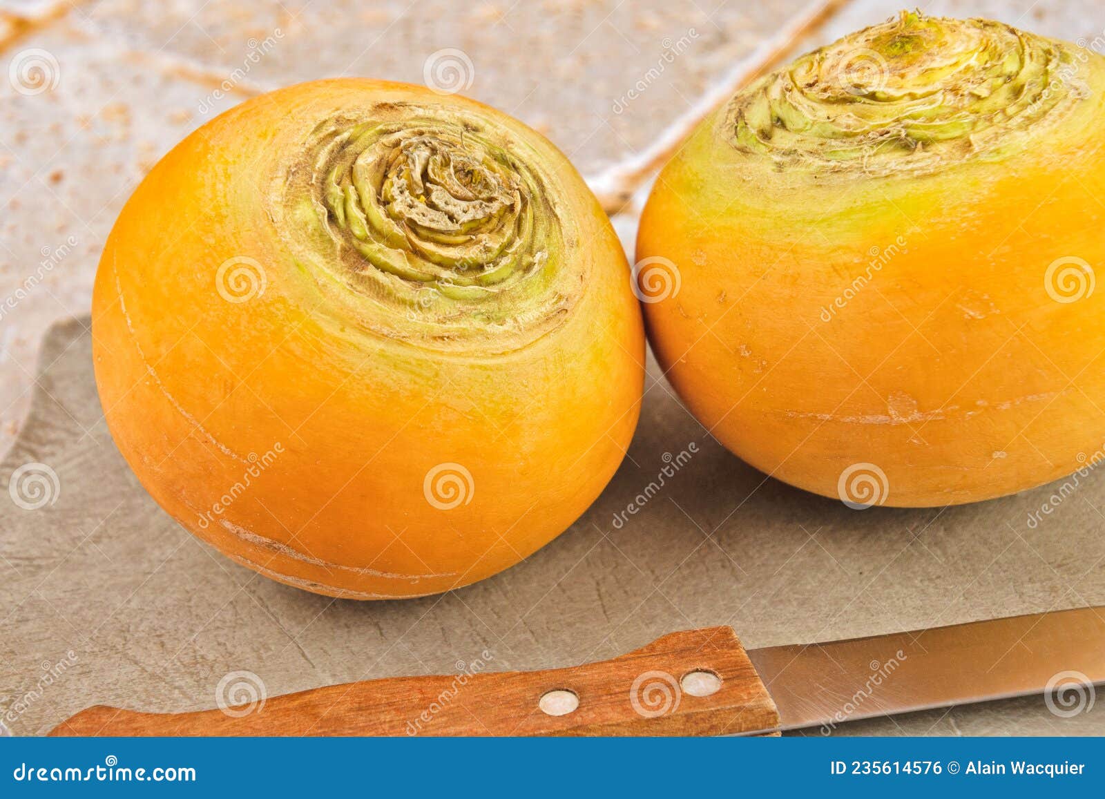 Raw Yellow Turnips with Knife on a Table Stock Photo - Image of table ...