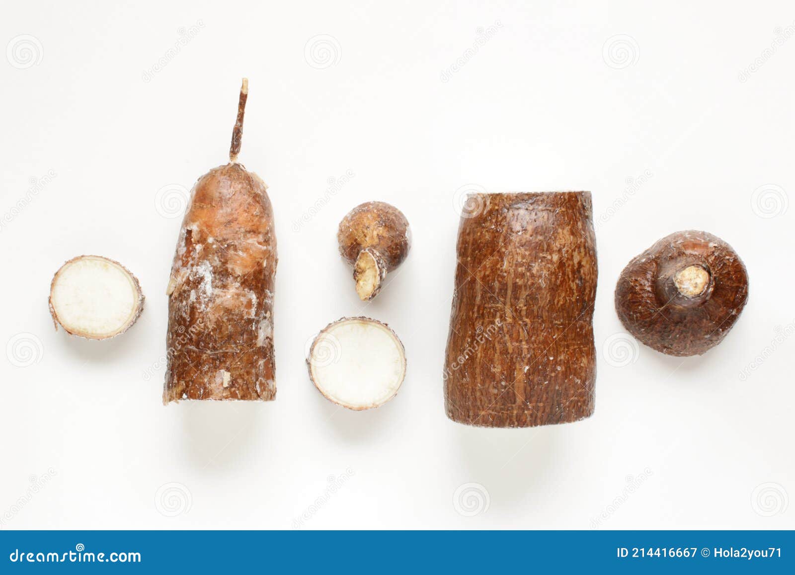 Yuca root still life stock image. Image of white, roots - 214416667