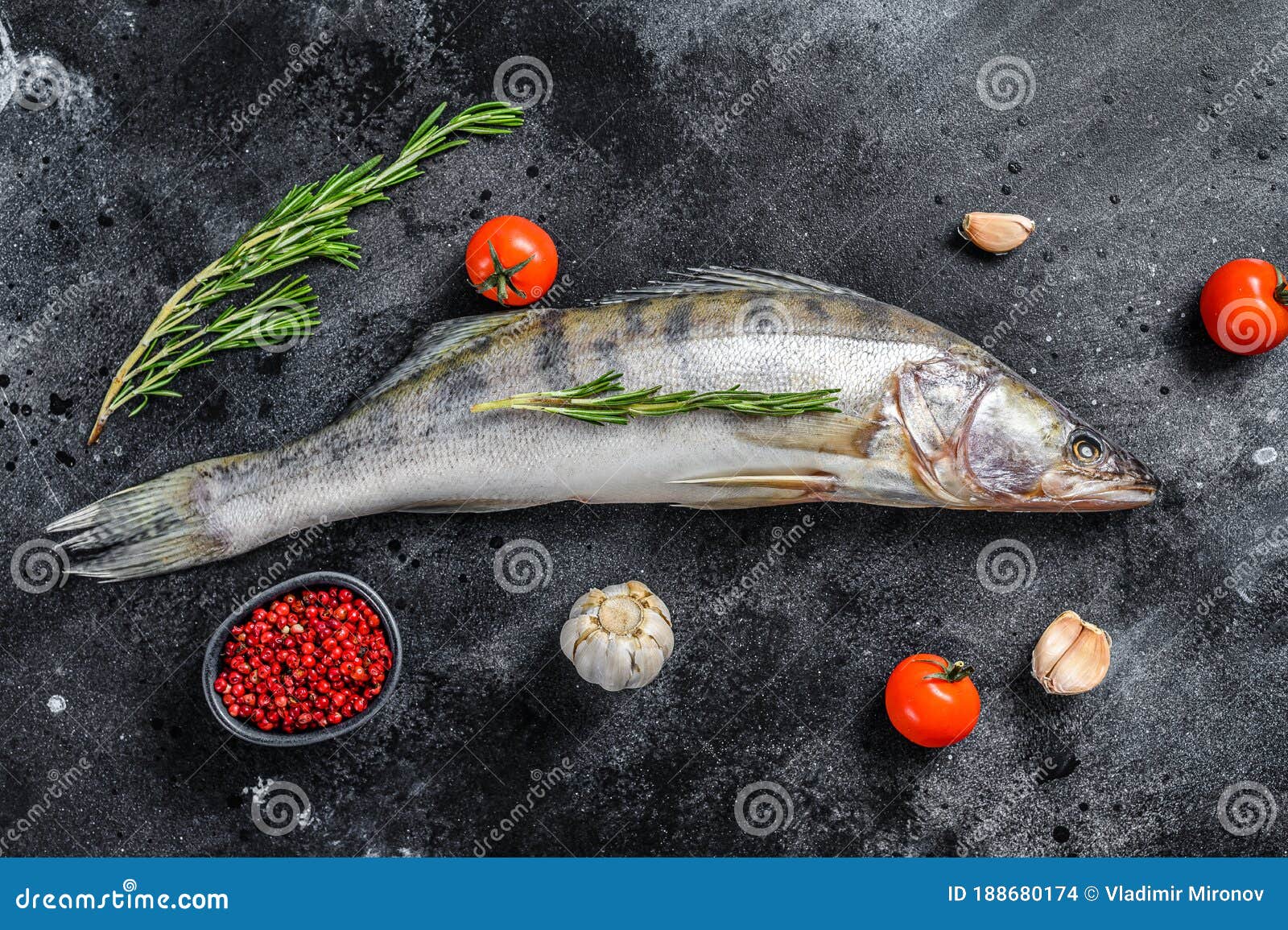 Zander. Walleye Live Fish Isolated On White Background. Sander ...